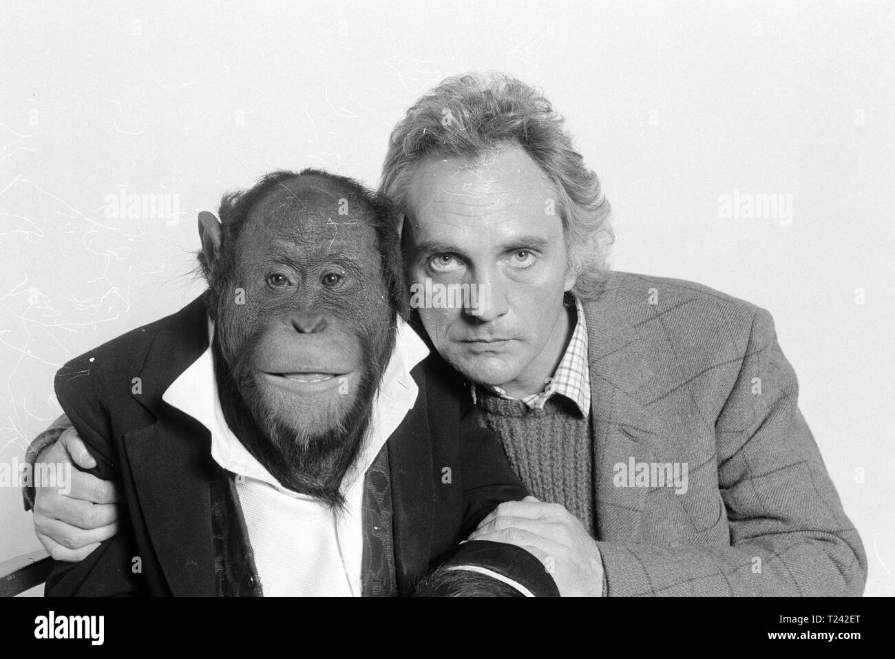 Link (1986) Terence Stamp, Locke the Orangutan, Date: 1986 Stock Photo ...