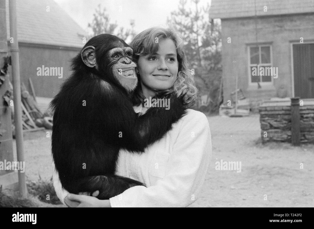 Link (1986) Elisabeth Shue, Jed the Chimpanzee, Date: 1986 Stock Photo ...