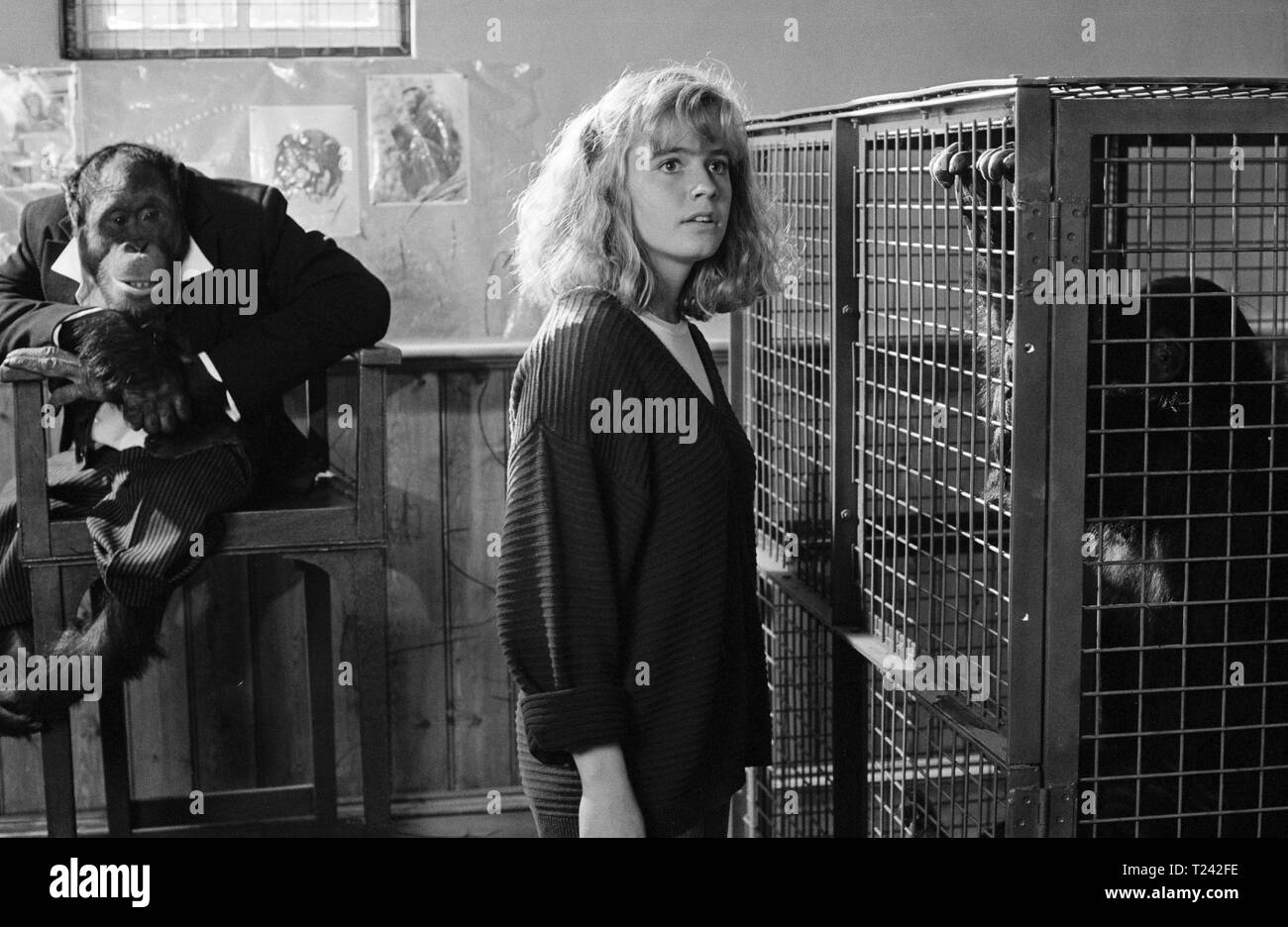 Link (1986) Elisabeth Shue, Date: 1986 Stock Photo - Alamy