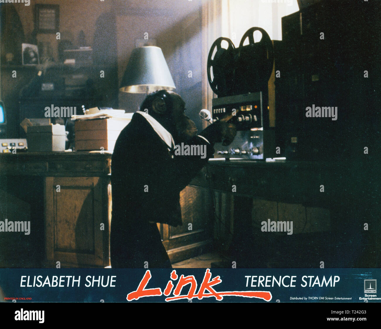 Link (1986) Locke the Orangutan, Date: 1986 Stock Photo - Alamy