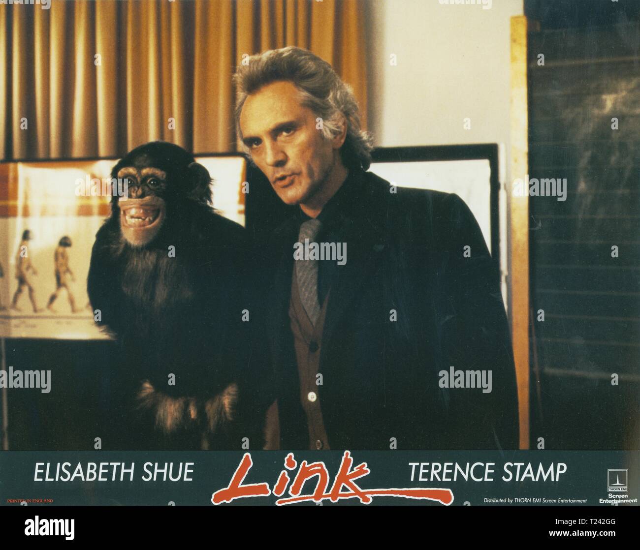 Chimpanzee films hi-res stock photography and images - Alamy