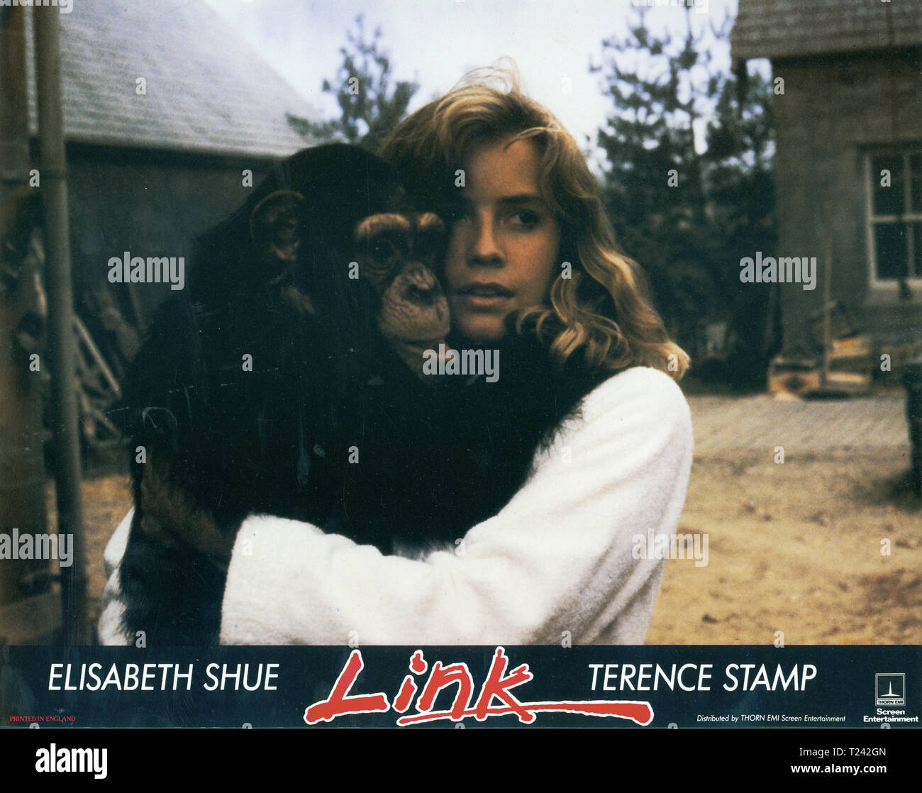 Link (1986) Elisabeth Shue, Jed the Chimpanzee, Date: 1986 Stock Photo ...