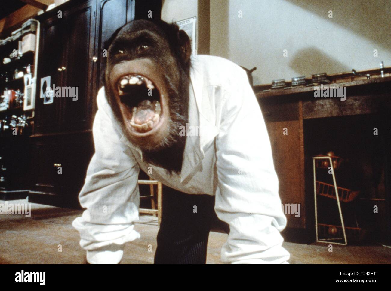 Link (1986) Locke the Orangutan, Date: 1986 Stock Photo - Alamy
