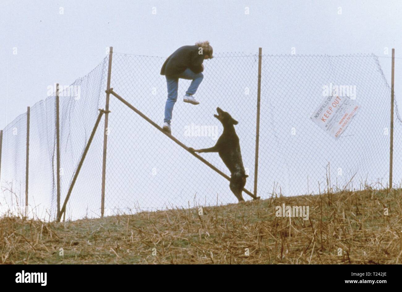 Link (1986) Elisabeth Shue, Date: 1986 Stock Photo - Alamy