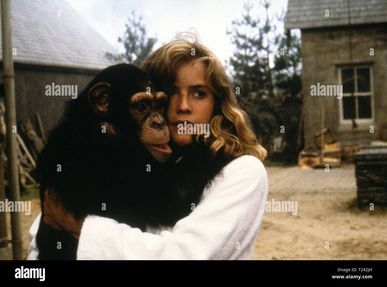 Link (1986) Jed the Chimpanzee, Elisabeth Shue, Date: 1986 Stock Photo ...