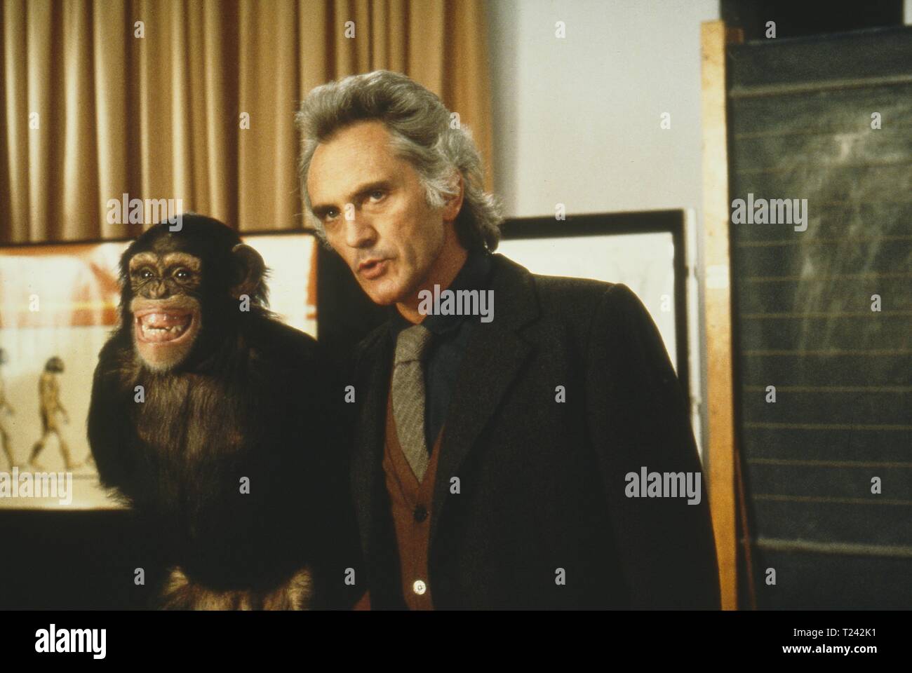 Chimpanzee films hi-res stock photography and images - Alamy