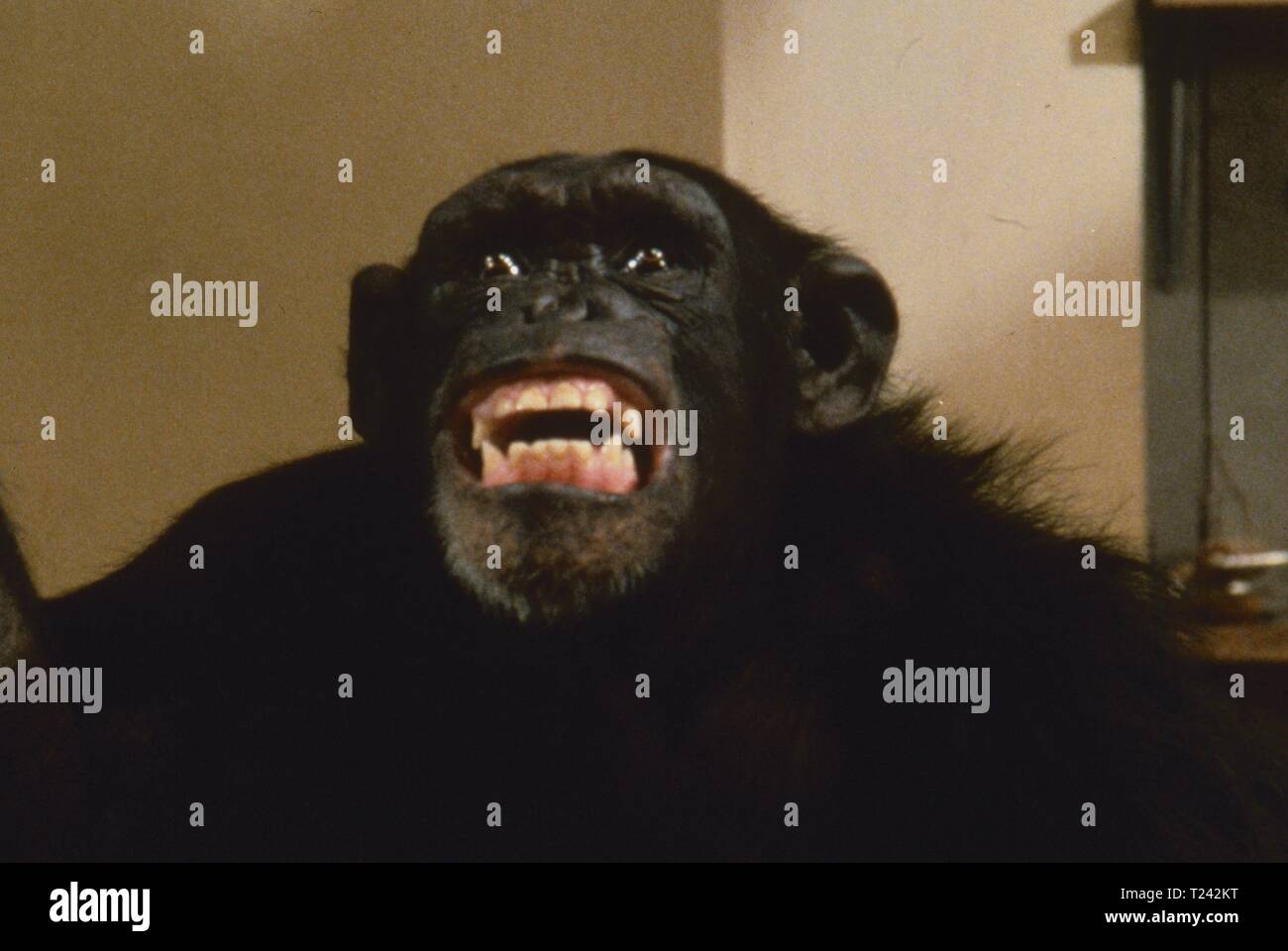 Link (1986) Date: 1986 Stock Photo - Alamy