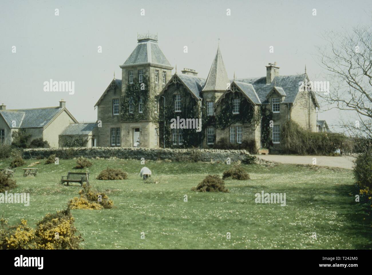 Link 1986 hi-res stock photography and images - Alamy