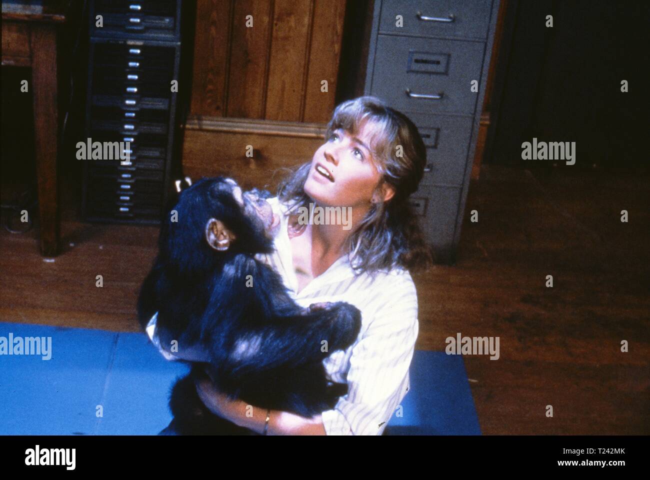 Link (1986) Elisabeth Shue, Jed the Chimpanzee, Date: 1986 Stock Photo ...
