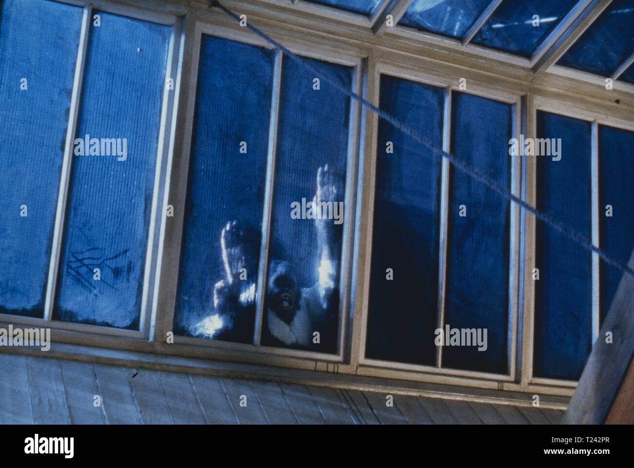 Film link hi-res stock photography and images - Alamy