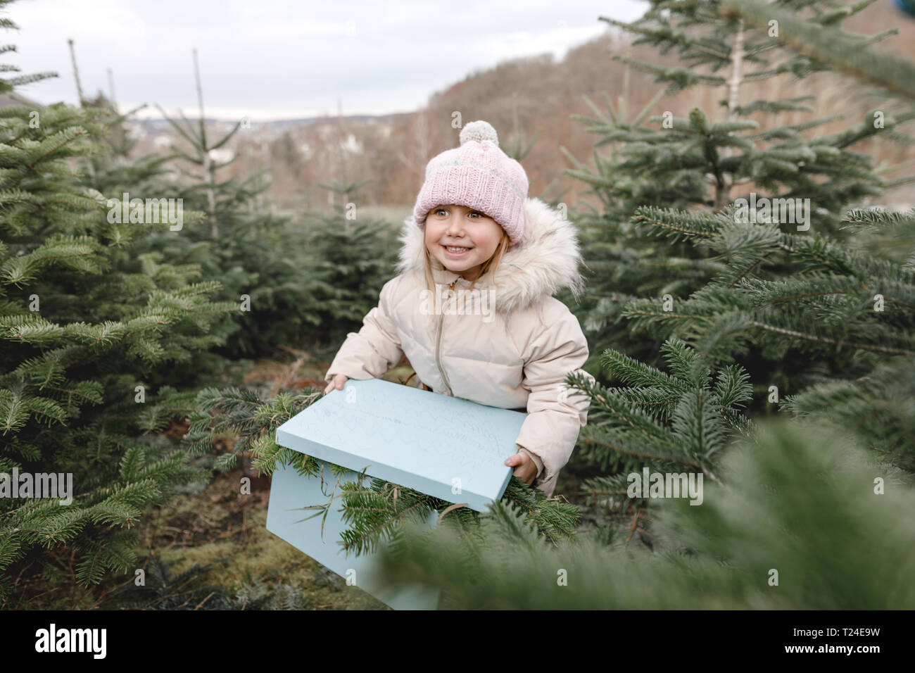 Happy girl carrying gift box on a Christmas tree plantation Stock Photo ...