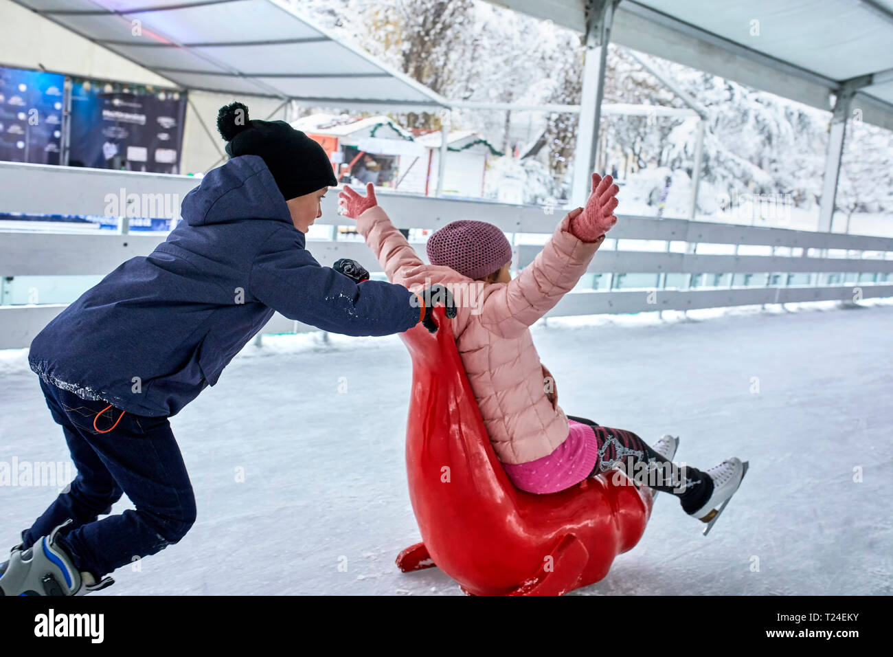 Brother pushing sister on the ice rink,sitting on seal sledge Stock ...
