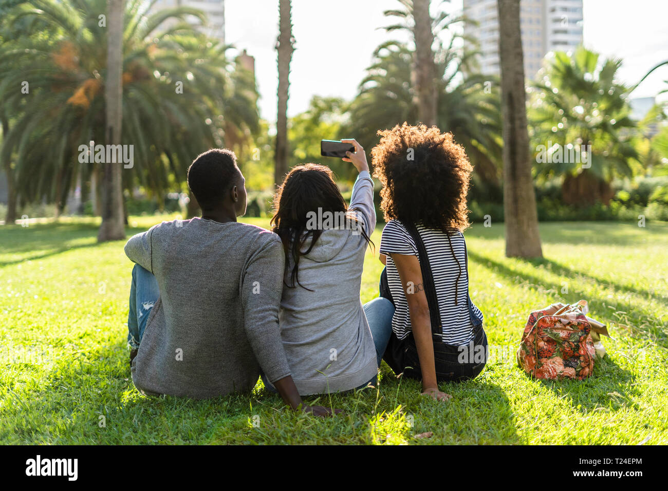 Three friends sitting in a park, watching the sunset, taking a selfie ...