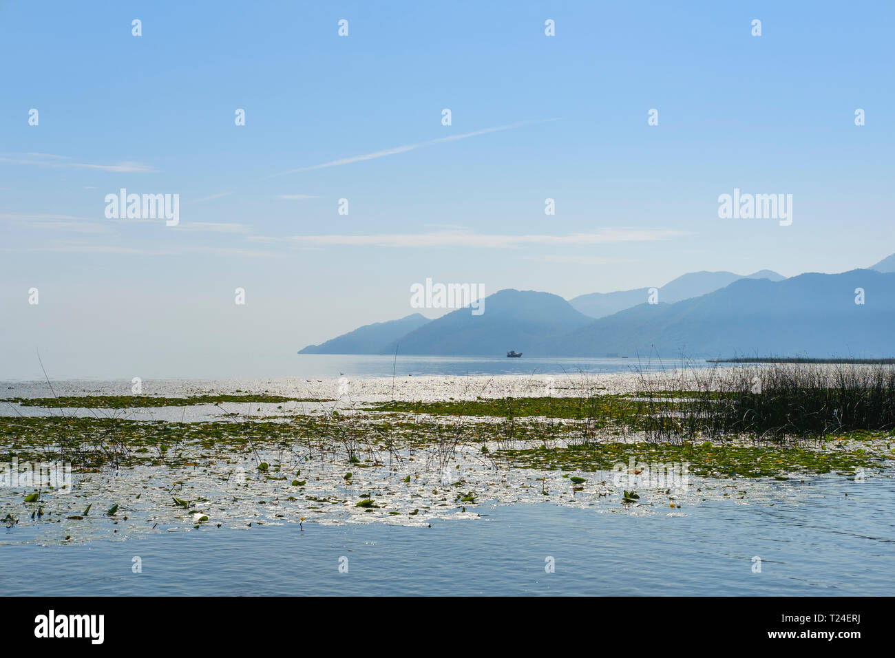 Montenegro, Bar province, Lake Skadar Stock Photo - Alamy