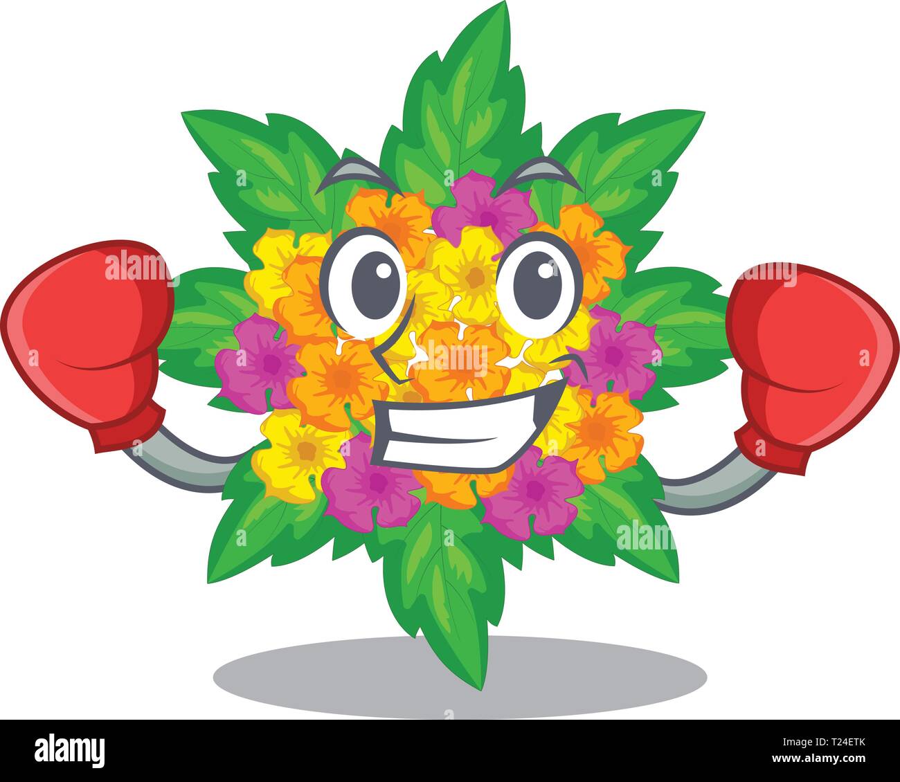 Boxing lantana flowers in the mascot pots Stock Vector Image & Art - Alamy