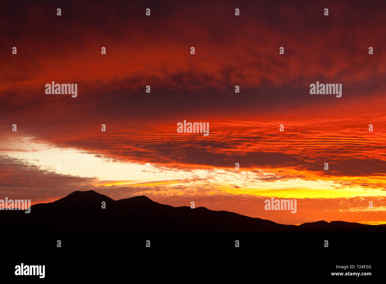 Arizona willcox playa hi-res stock photography and images - Alamy