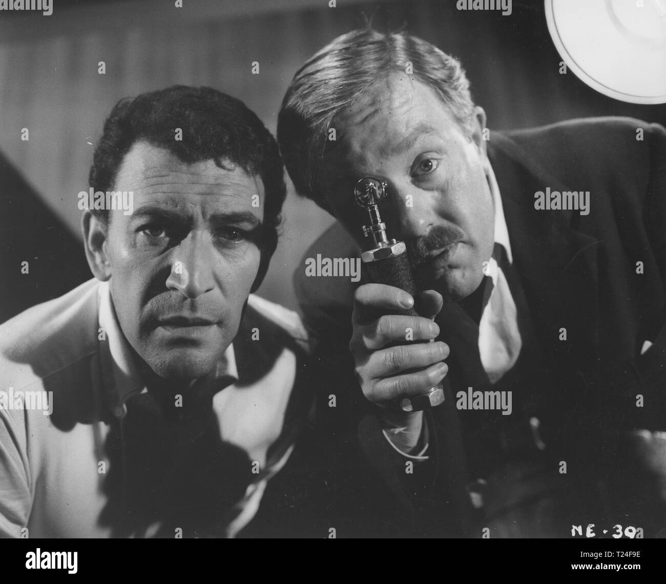 Peter bird hi-res stock photography and images - Alamy