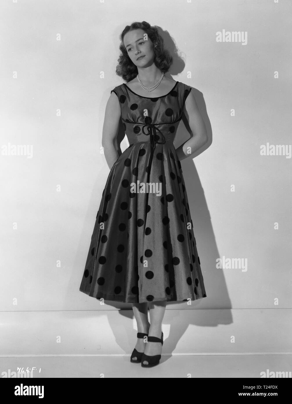 Aris hi-res stock photography and images - Alamy