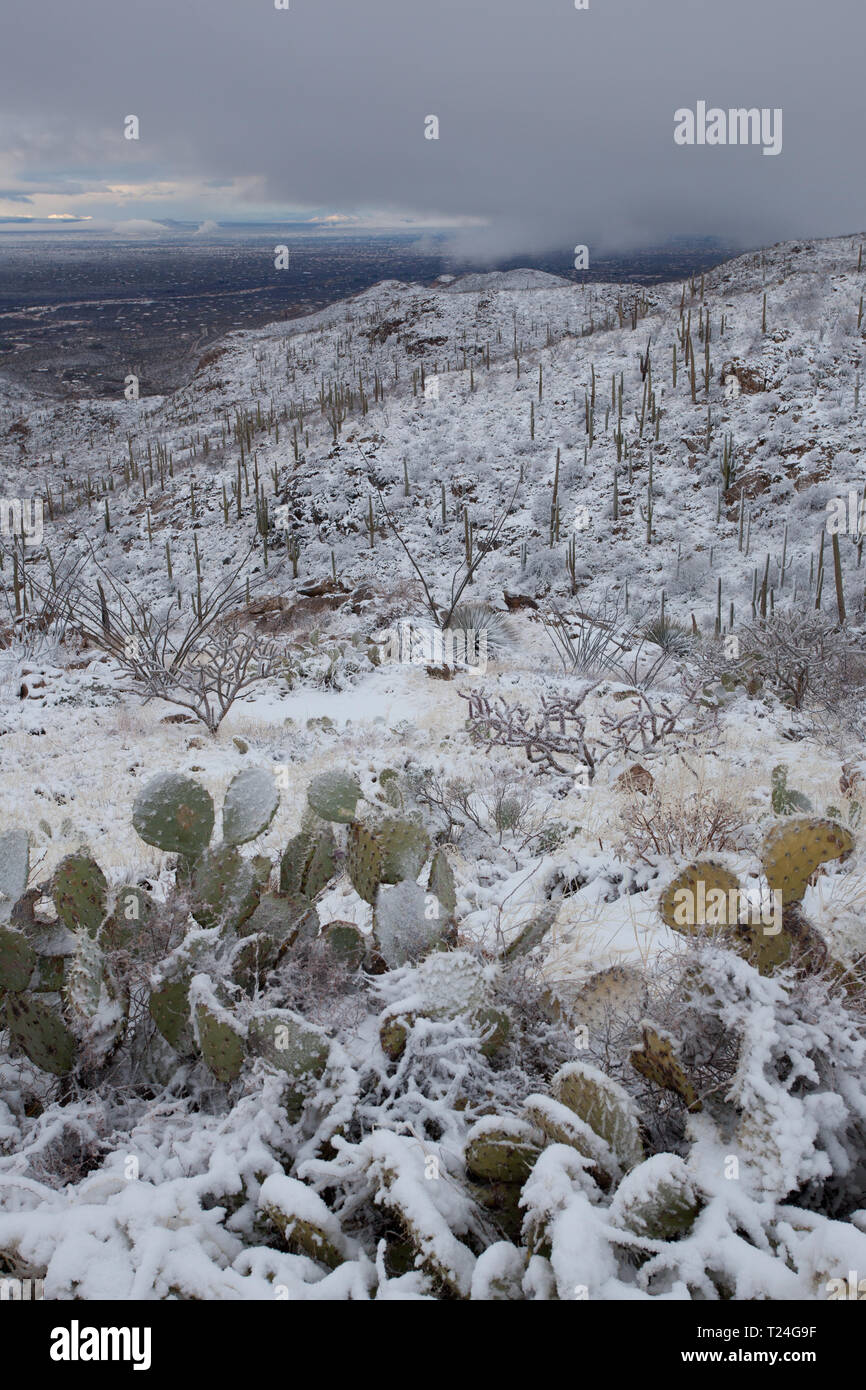 Redington pass hi-res stock photography and images - Alamy