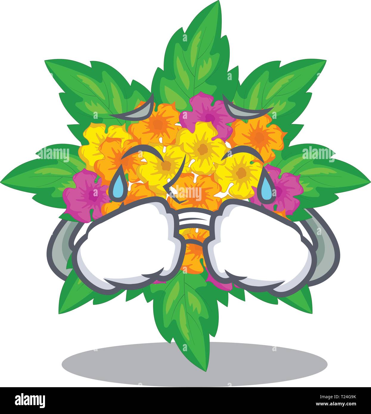 Verbena flowers Stock Vector Images - Alamy