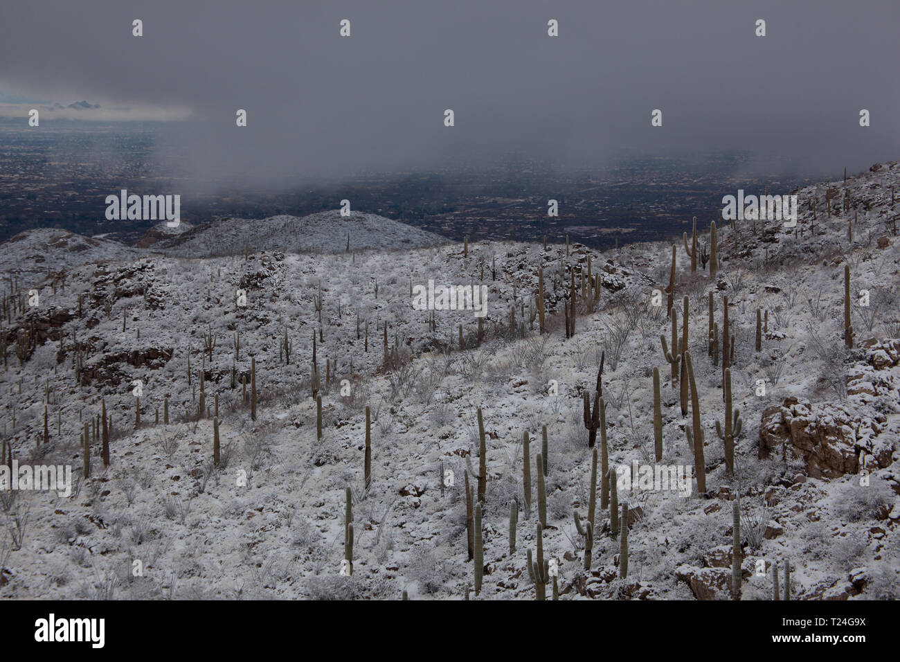 Redington Pass, Pima County, Arizona, USA Stock Photo - Alamy