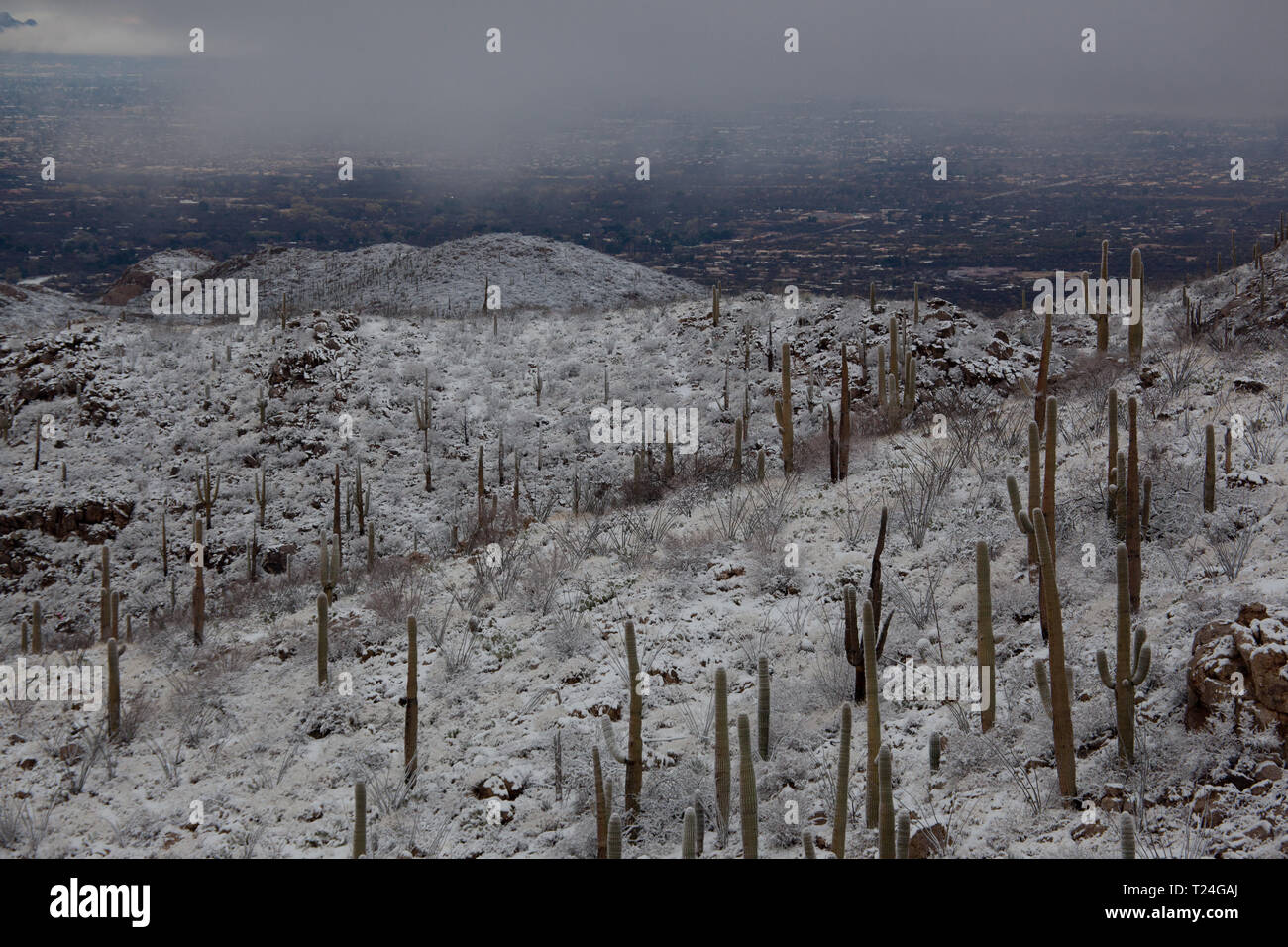 Redington Pass, Pima County, Arizona, USA Stock Photo - Alamy