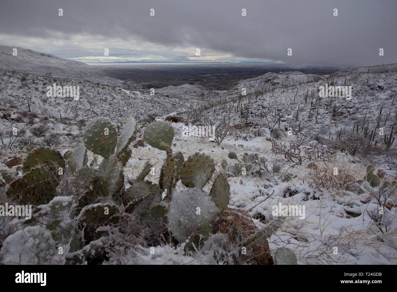 Redington pass hi-res stock photography and images - Alamy