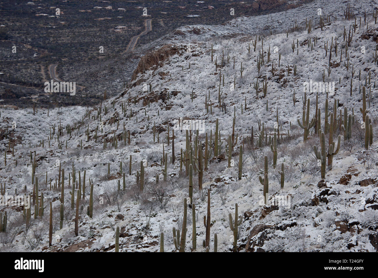 Redington Pass, Pima County, Arizona, USA Stock Photo - Alamy