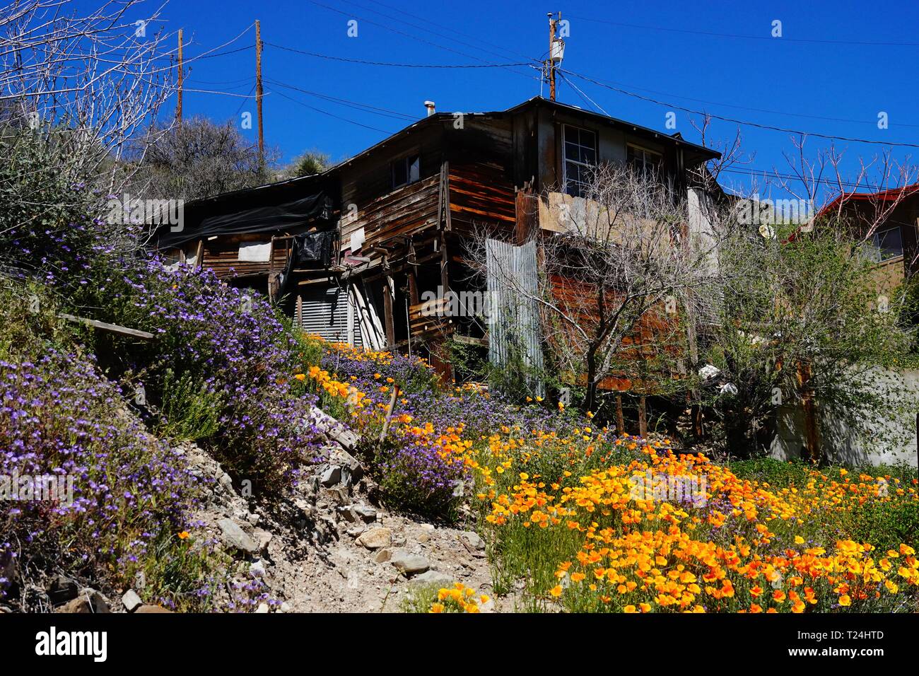 Miami arizona hi-res stock photography and images - Alamy