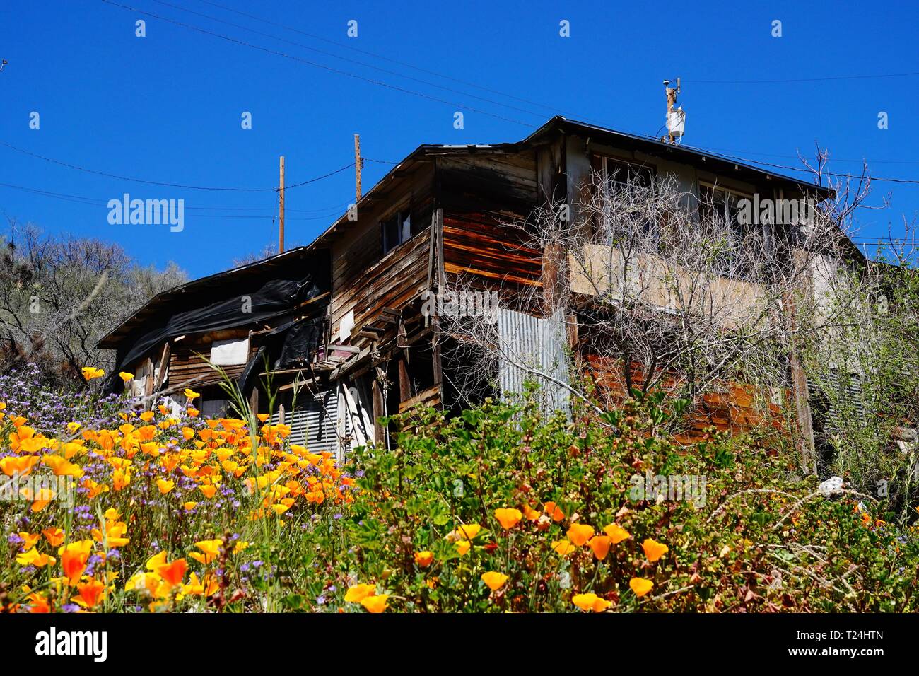 Miami arizona hi-res stock photography and images - Alamy