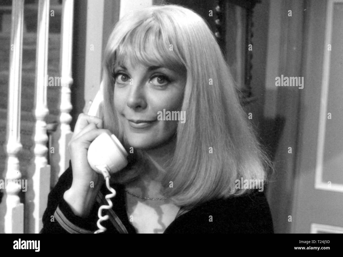 Aimi hi-res stock photography and images - Alamy