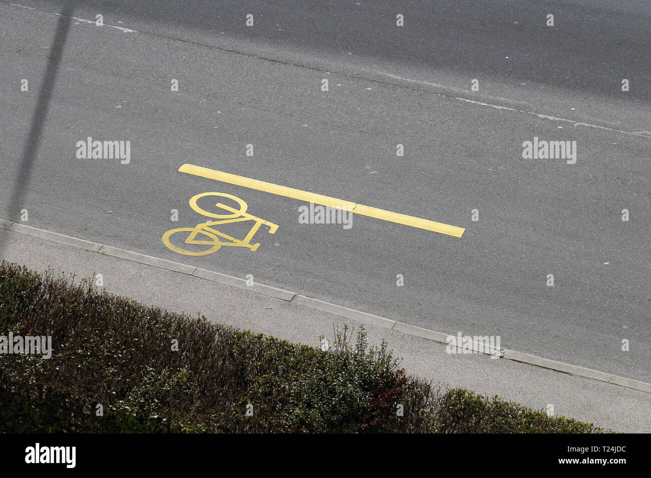 Yellow bike lane marked with a painted bike sign. There is also street ...