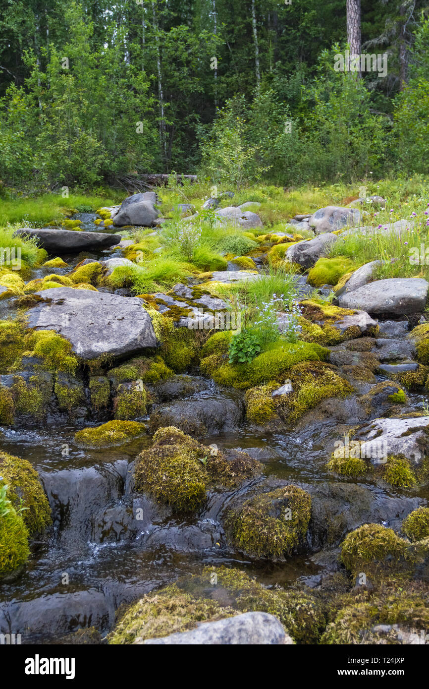 Northern siberia hi-res stock photography and images - Alamy