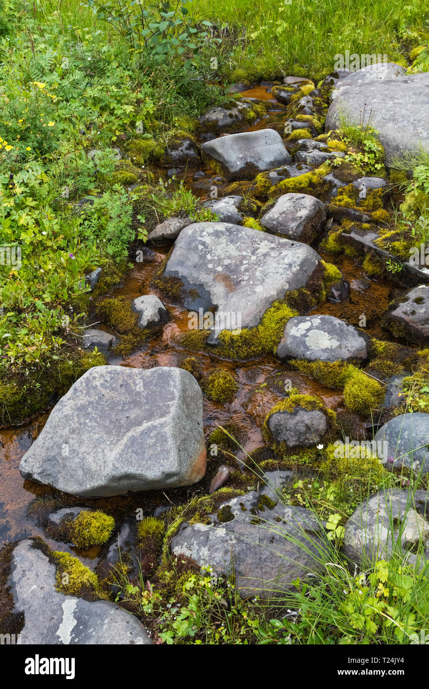 Northern siberia hi-res stock photography and images - Alamy