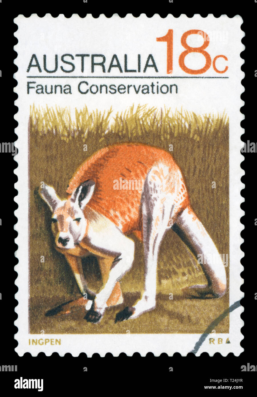 AUSTRALIA - CIRCA 1971: A stamp printed in Australia shows red kangaroo ...