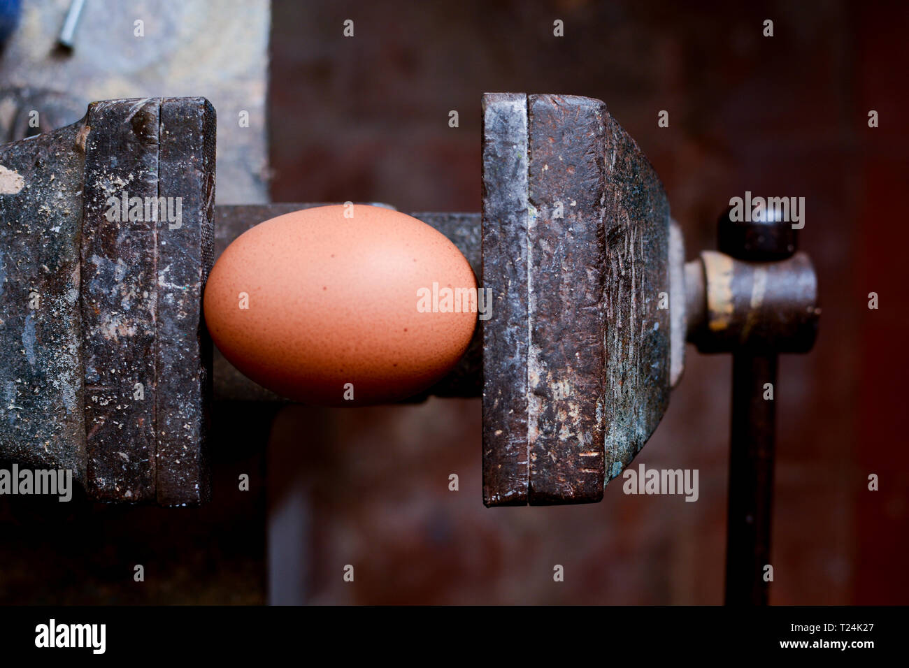 Food metaphor, strength and energy from healthy food Stock Photo - Alamy