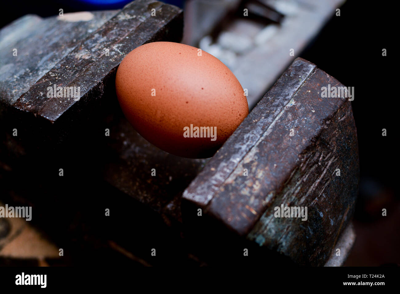 Food metaphor, strength and energy from healthy food Stock Photo - Alamy