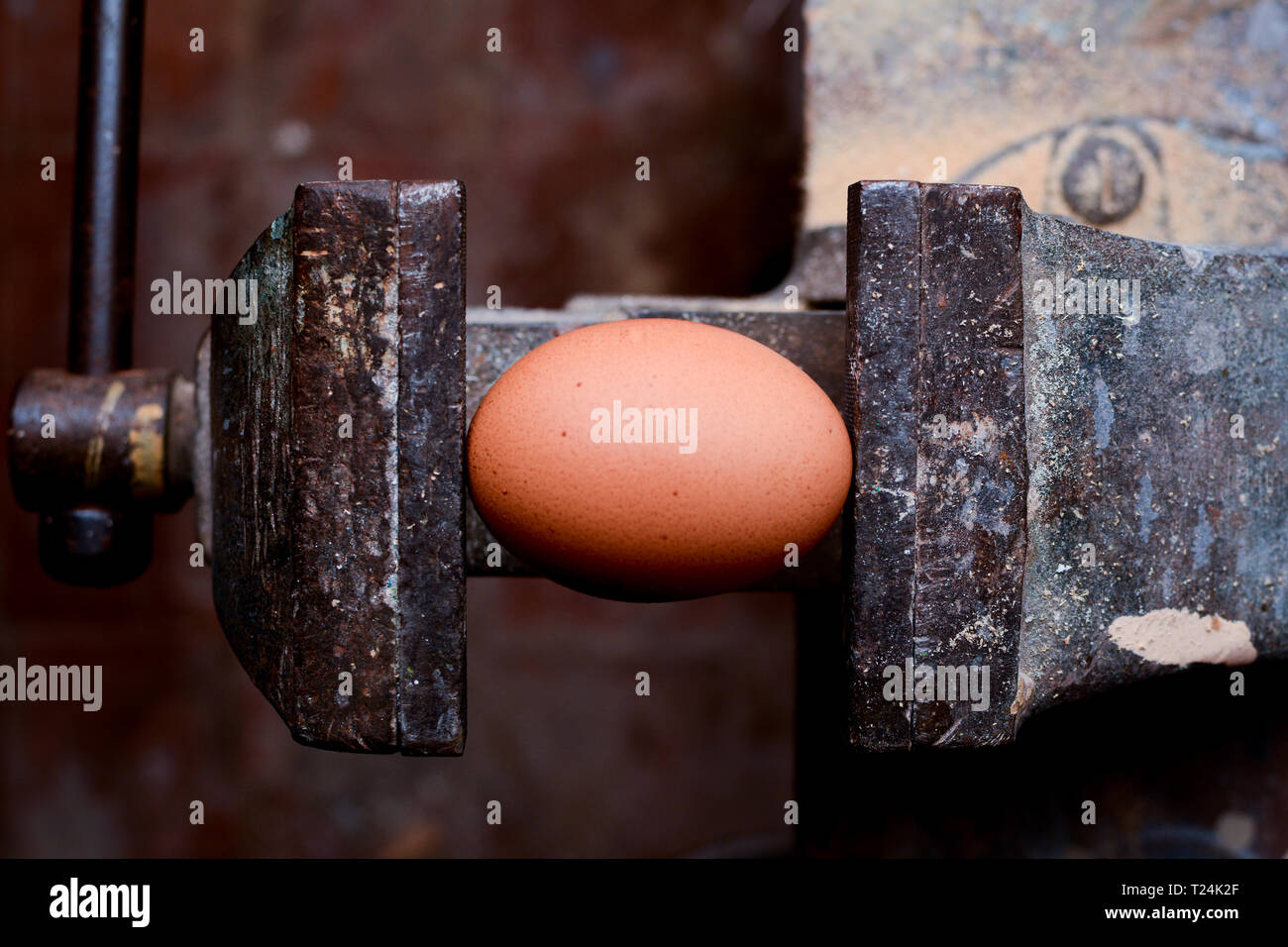 Food metaphor, strength and energy from healthy food Stock Photo - Alamy