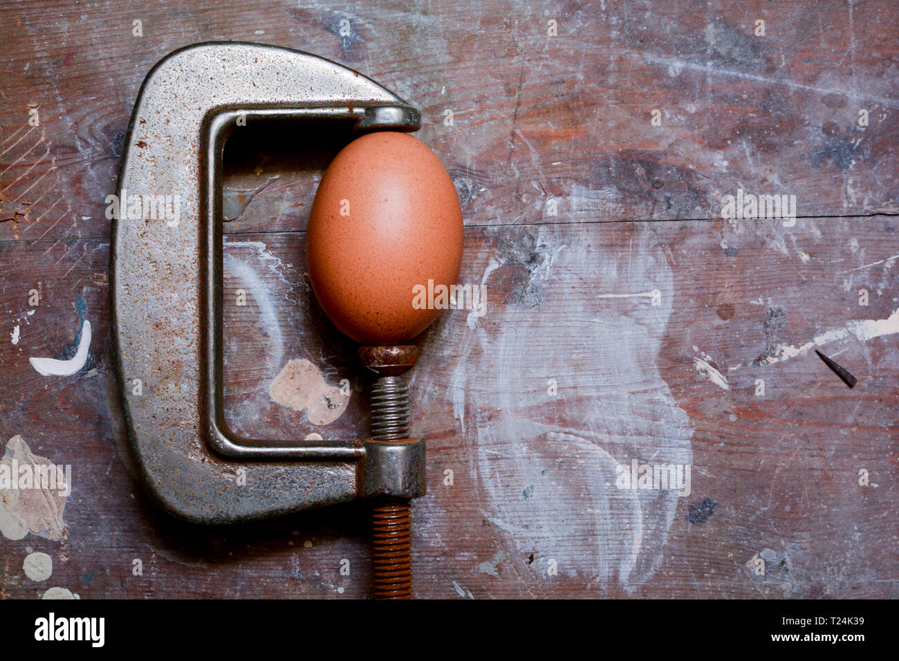 Food metaphor, strength and energy from healthy food Stock Photo - Alamy