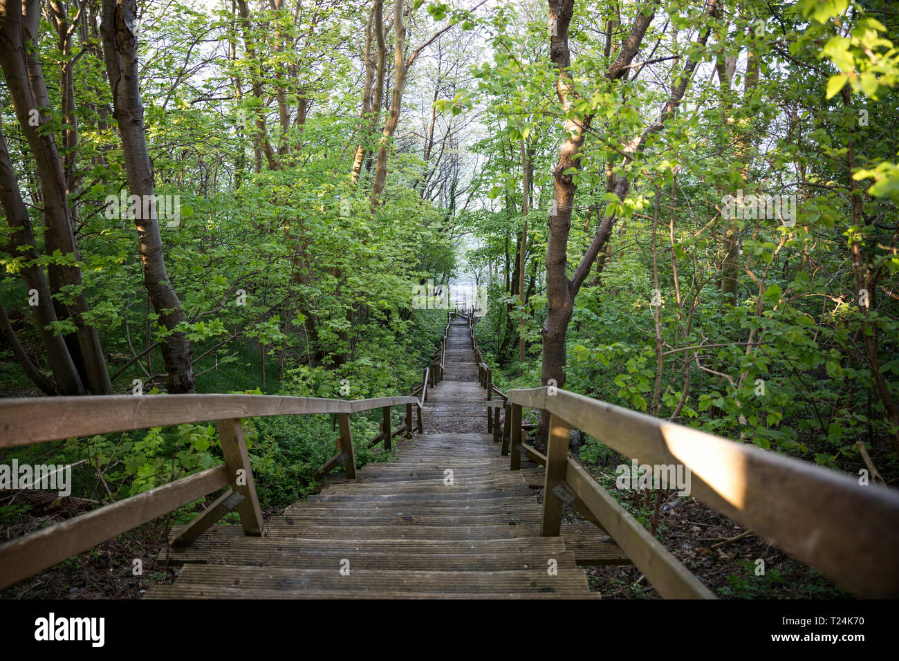 Steps cape arkona hi-res stock photography and images - Alamy