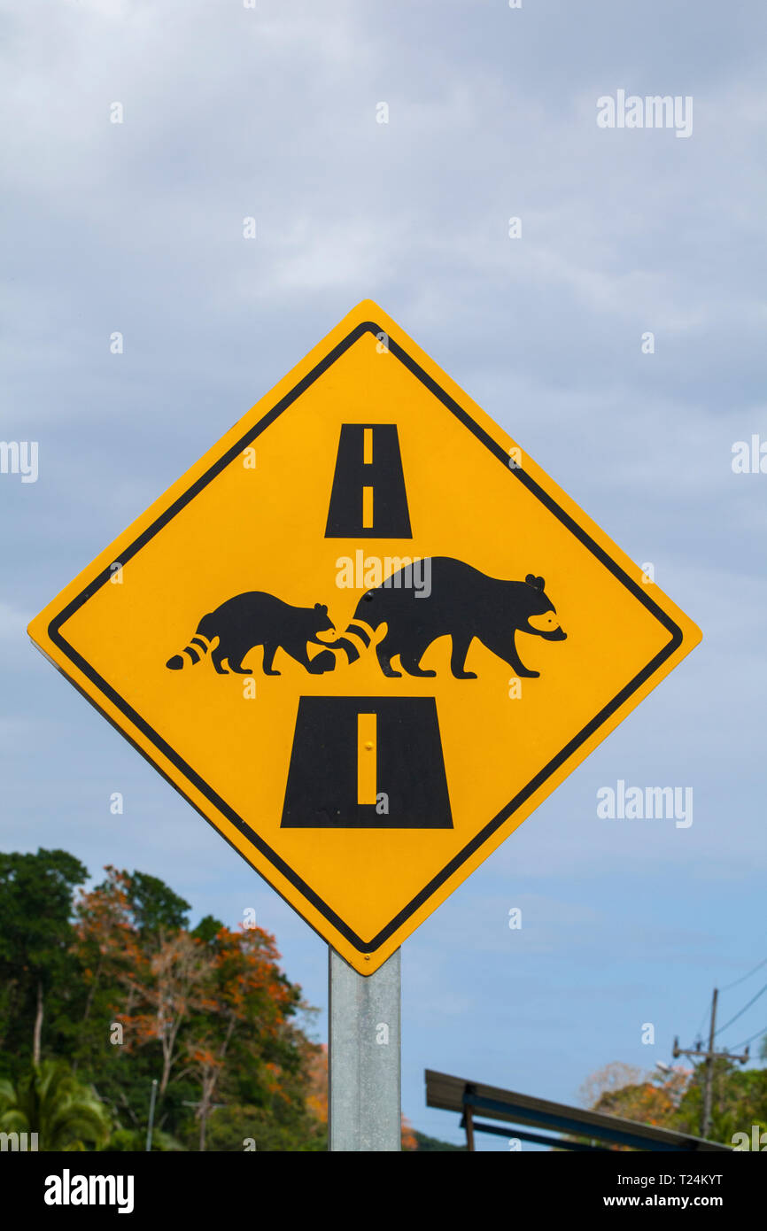 Animal Crossing traffic sign on a road in Costa Rica Stock Photo - Alamy