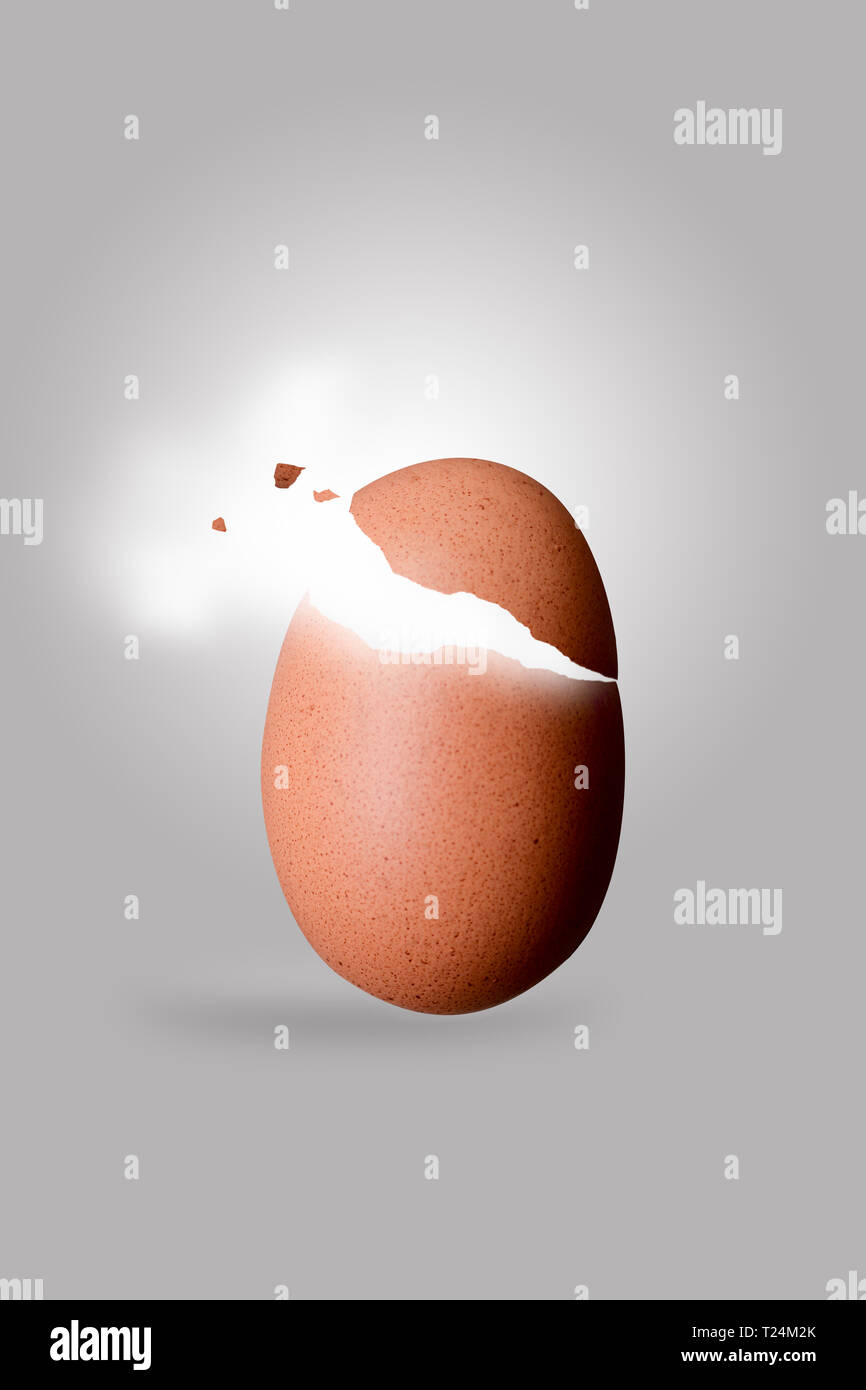 Stressed egg hi-res stock photography and images - Alamy