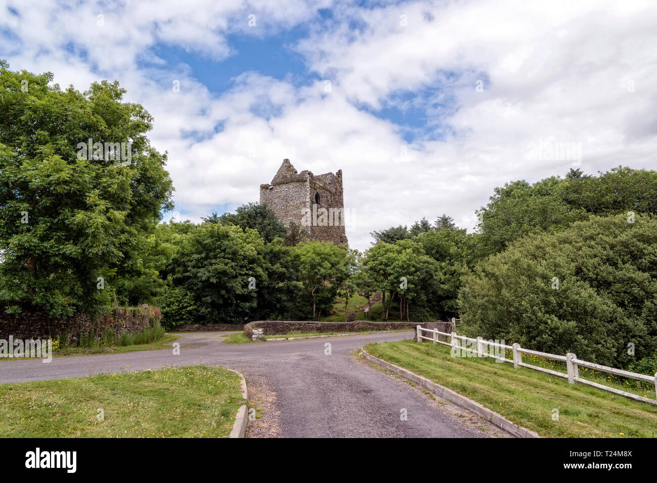 The tower house is the only remain of Ballynacarriga castle in Co.Cork ...