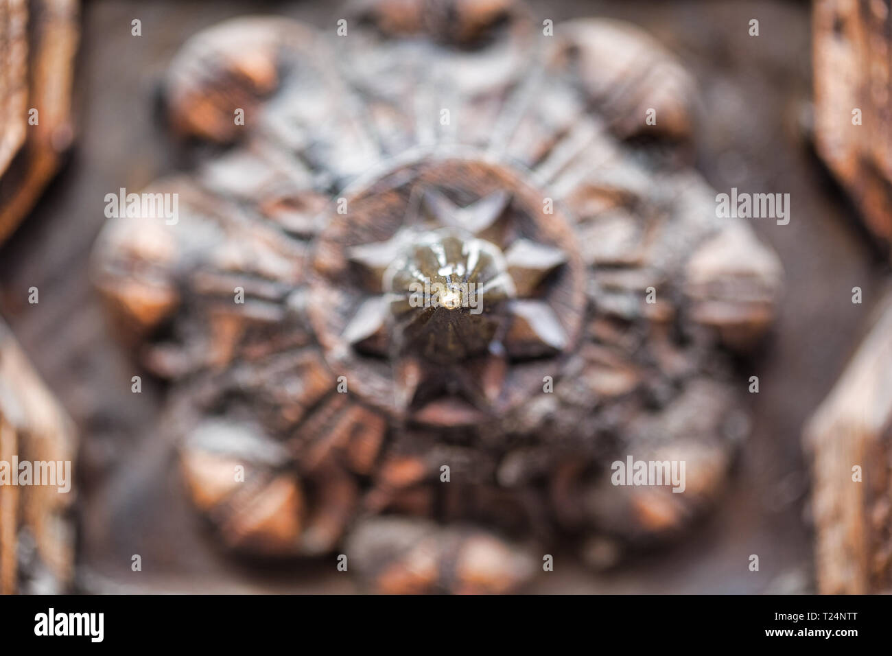 Close up shot of a metal spike attached to a wood door Stock Photo - Alamy