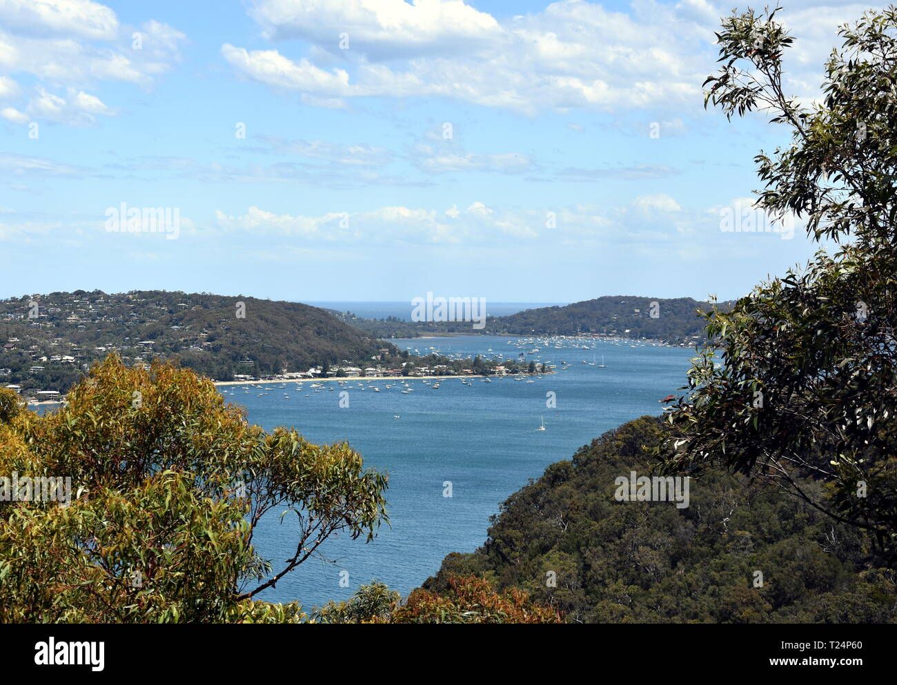 View of Pittwater Bay from West Head (Ku-ring-gai Chase National Park ...