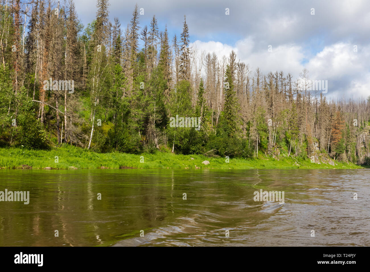 Landscape with water. The rivers of the north of Siberia. Russia Stock ...