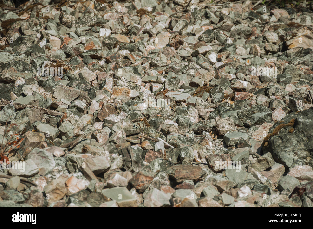Bunch of rough stones lying on the slope at the Monfrague National Park ...