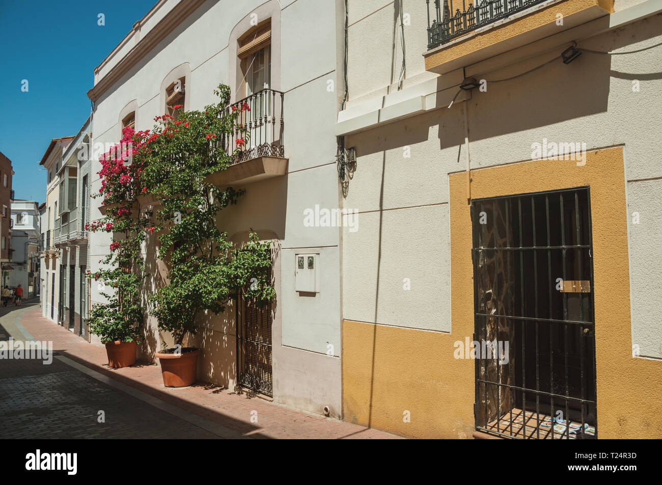 Facade of building with balcony and flowered ornamental plant in quiet ...
