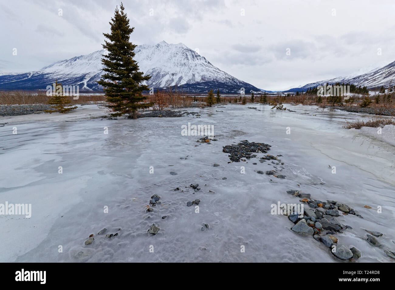 Alsek valley hi-res stock photography and images - Alamy