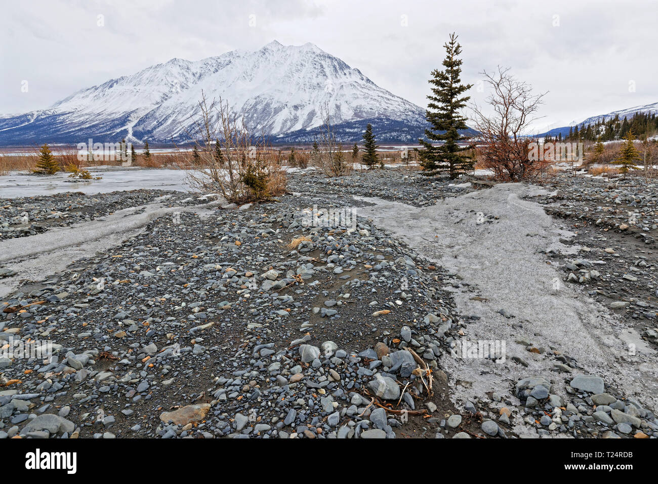 Alsek valley hi-res stock photography and images - Alamy